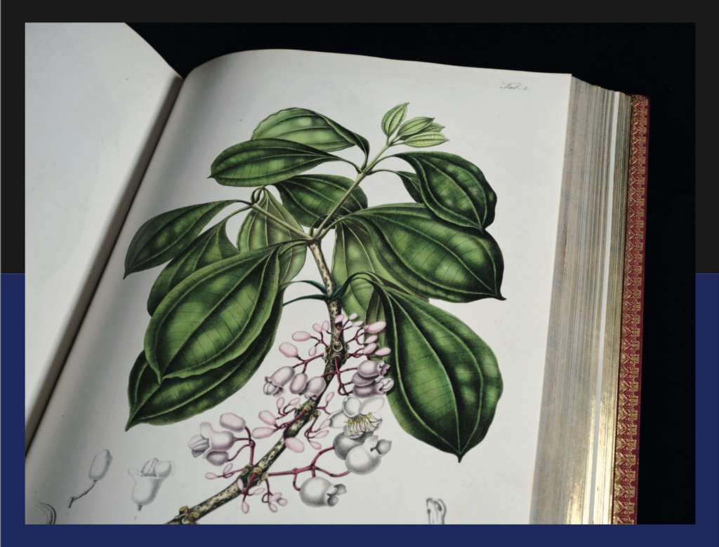 Feuilleter et butiner. - Centre Culturel du Manoir