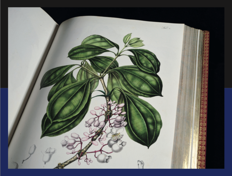 Feuilleter et butiner. - Centre Culturel du Manoir